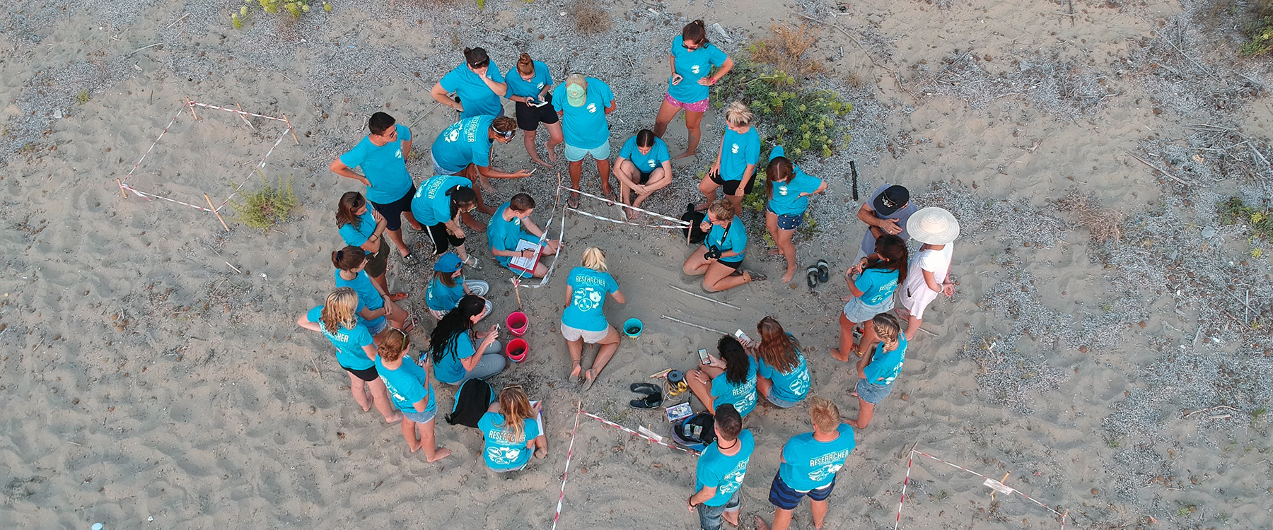 Volunteer Information - Sea Turtle Conservation - Wildlife Sense